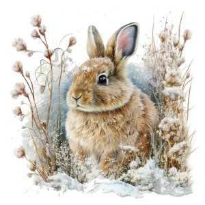Winter Bunny Clipart - 12 High Quality Pngs, Digital Paper Crafting ...