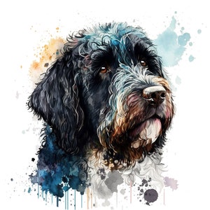 Barbet Dog Clipart - 12 High Quality Pngs, Watercolor, Digital Planner ...