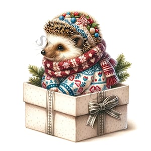Watercolor Christmas Hedgehog Clipart - 15 High Quality Jpgs, Digital ...