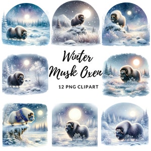 Winter Musk Oxen Clipart - 12 High Quality Pngs, Digital Download, Card ...