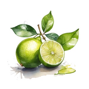 Lime Clipart - 12 High Quality Pngs, Digital Download, Card Making ...