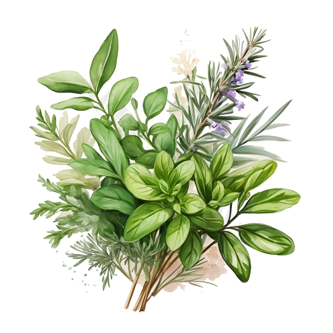 Herbs Bouquet Clipart - 12 High Quality Pngs, Memory Book, Junk ...