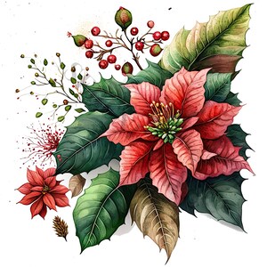 Poinsettia Clipart - 12 High Quality Pngs, Digital Paper Crafting ...