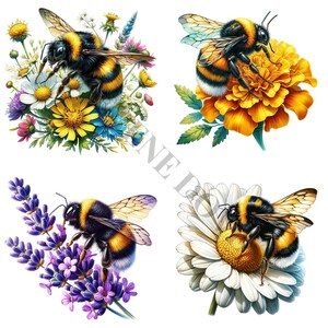Bumblebee on Flower Clipart - 17 High Quality Pngs, Memory Book, Junk ...