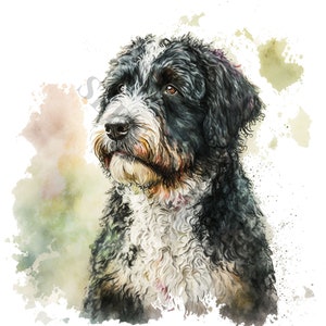 Barbet Dog Clipart - 12 High Quality Pngs, Watercolor, Digital Planner ...