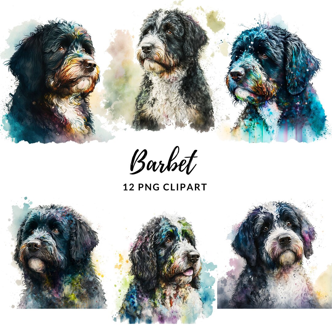 Barbet Dog Clipart - 12 High Quality Pngs, Watercolor, Digital Planner ...