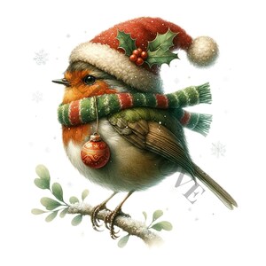 Christmas Robin Clipart - 12 High Quality Pngs, Memory Book, Junk ...
