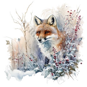 Winter Fox Clipart - 12 High Quality Pngs, Digital Paper Crafting ...