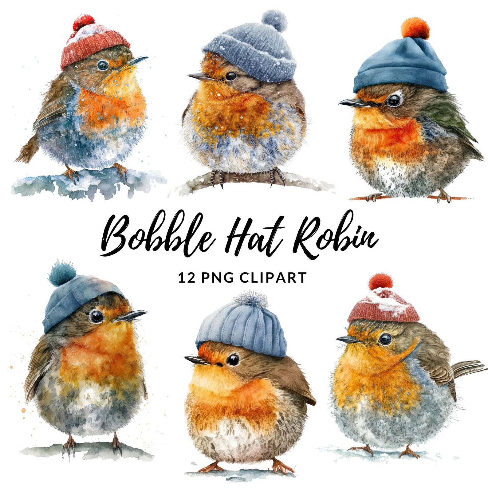 Bobble Hat Robin Clipart - 12 High Quality Pngs, Digital Planner, Junk ...