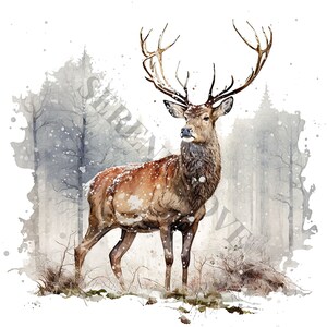 Winter Stag Clipart - 12 High Quality Pngs, Digital Paper Crafting ...