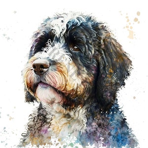 Barbet Dog Clipart - 12 High Quality Pngs, Watercolor, Digital Planner ...