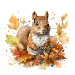 Autumn Squirrel Clipart - 12 High Quality Pngs, Digital Planner, Junk ...