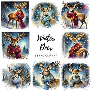 Winter Deer Clipart - 12 High Quality Pngs, Digital Paper Crafting ...