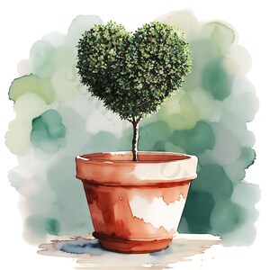 Topiary Tree Heart Clipart - 12 High Quality Pngs, Memory Book, Junk ...