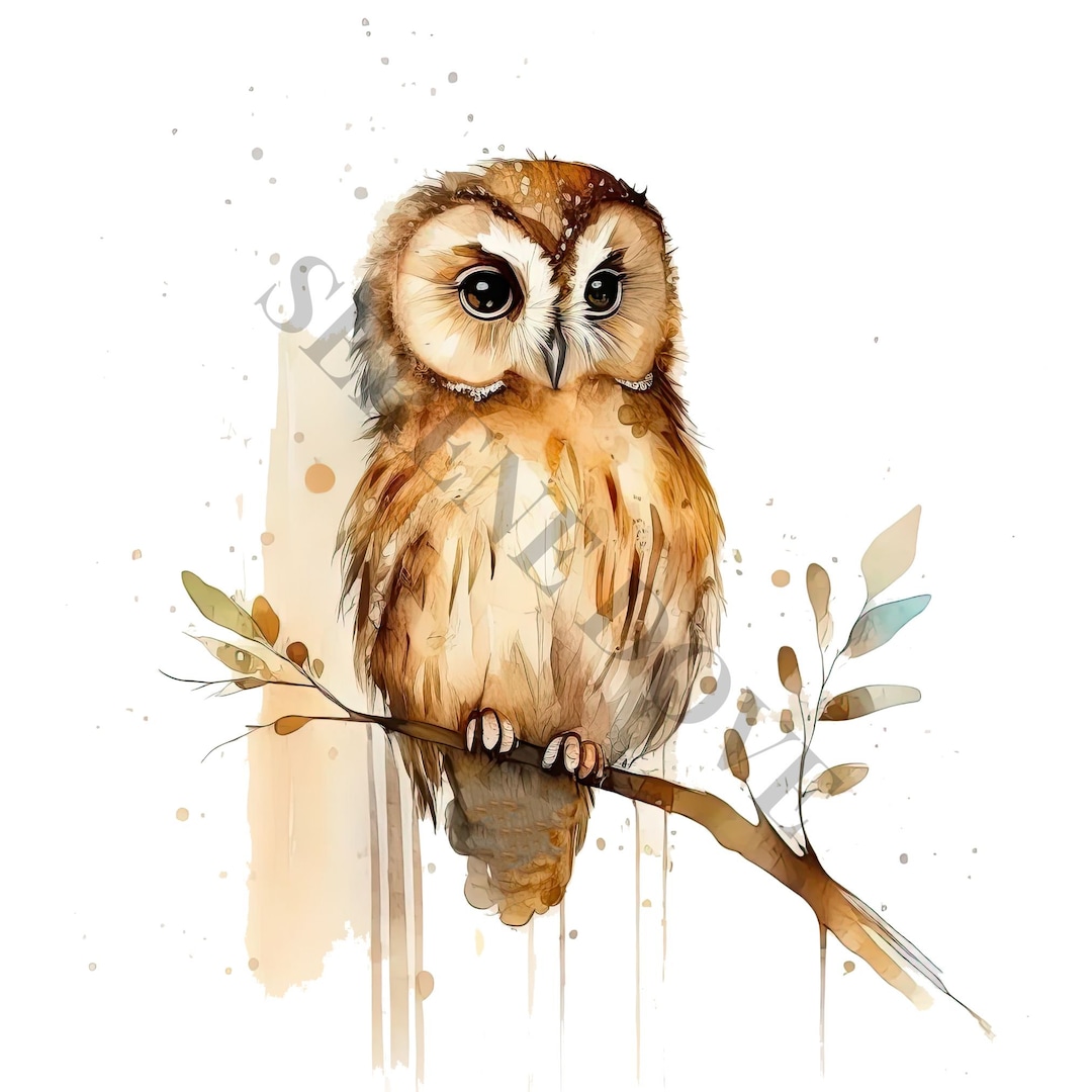 Owl Clipart - 12 High Quality Pngs, Digital Planner, Junk Journal ...