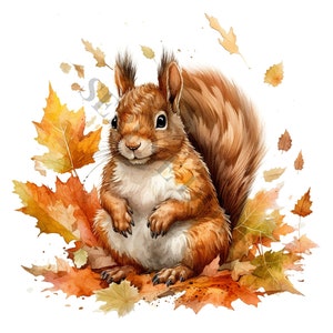 Autumn Squirrel Clipart - 12 High Quality Pngs, Digital Planner, Junk ...
