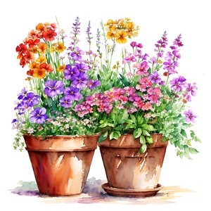 Potted Summer Flowers Clipart - 12 High Quality Pngs, Memory Book, Junk ...