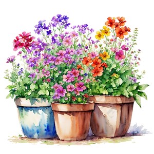 Potted Summer Flowers Clipart - 12 High Quality Pngs, Memory Book, Junk ...