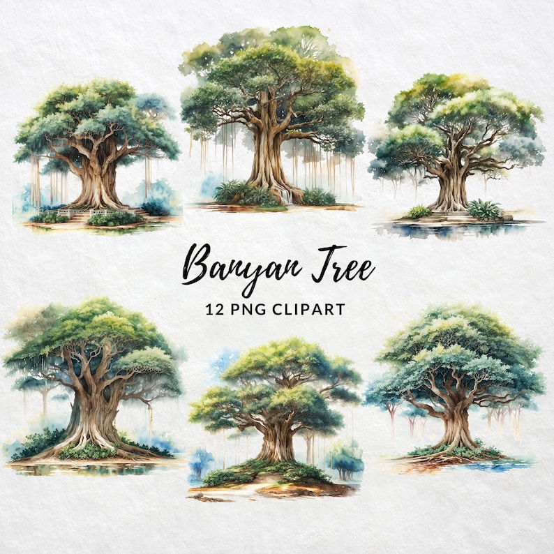 Banyan Tree Clipart 12 High Quality Pngs Digital Download - Etsy