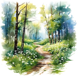 Springtime Forest Watercolor Clipart - 16 High Quality Jpgs, Digital ...