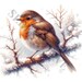 Winter Robin Clipart - 12 High Quality Pngs, Memory Book, Junk Journals ...