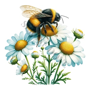 Bumblebee on Flower Clipart - 17 High Quality Pngs, Memory Book, Junk ...