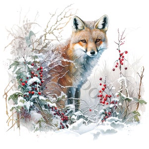 Winter Fox Clipart - 12 High Quality Pngs, Digital Paper Crafting ...