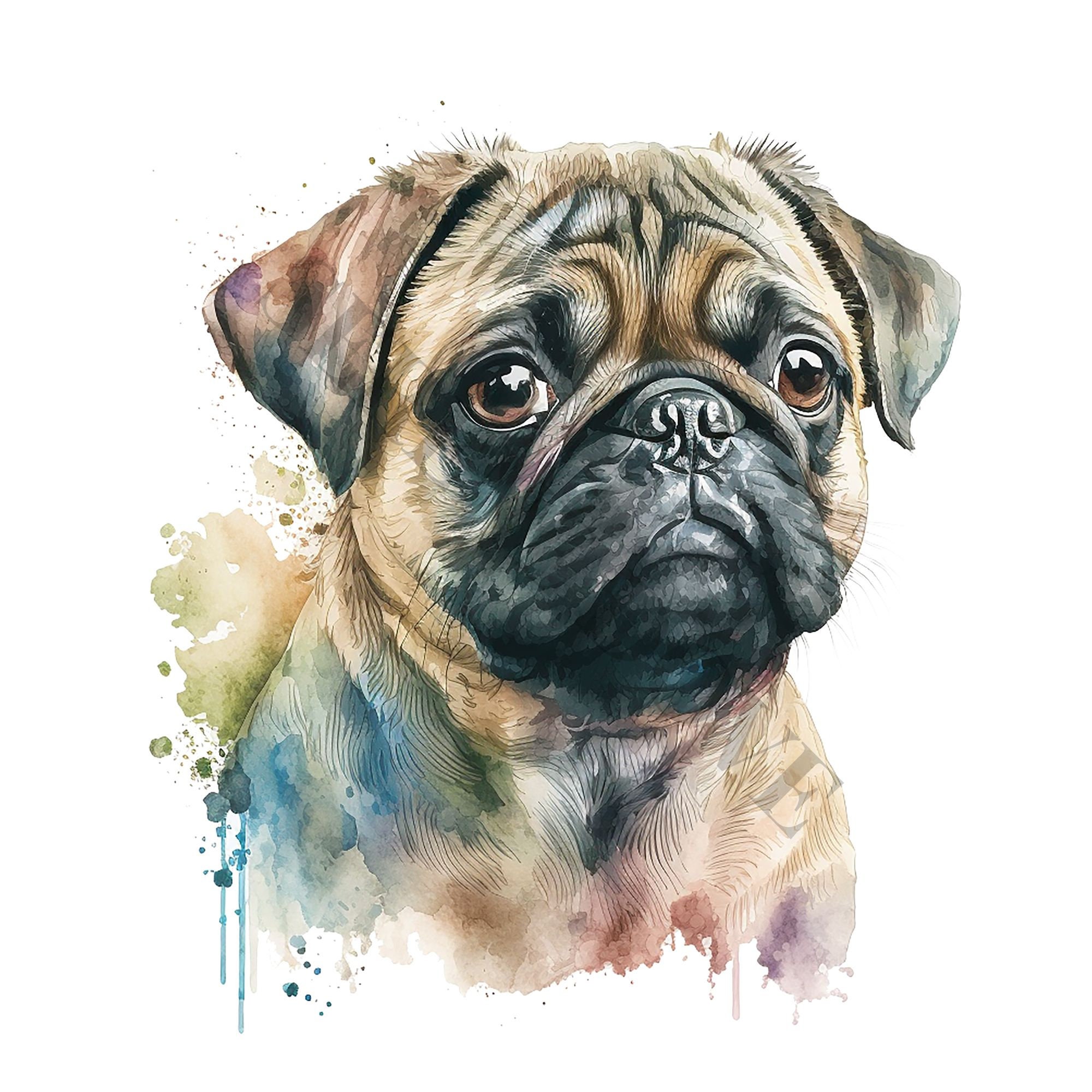 Grumpy Pug Clipart - 12 High Quality Pngs, Memory Book, Junk Journals ...