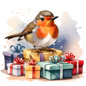 Robins and Gifts Clipart - 12 High Quality Pngs, Digital Planner, Junk ...