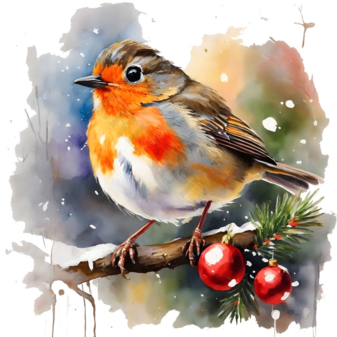 Christmas Robin Clipart - 12 High Quality Pngs, Digital Paper Crafting ...