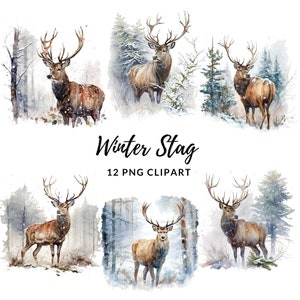 Winter Stag Clipart - 12 High Quality Pngs, Digital Paper Crafting ...