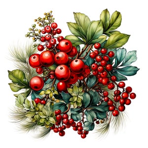 Christmas Bouquet Clipart - 12 High Quality Pngs, Digital Planner, Junk ...