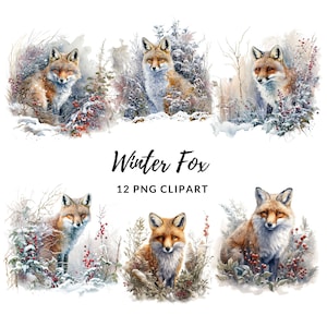 Winter Fox Clipart - 12 High Quality Pngs, Digital Paper Crafting ...
