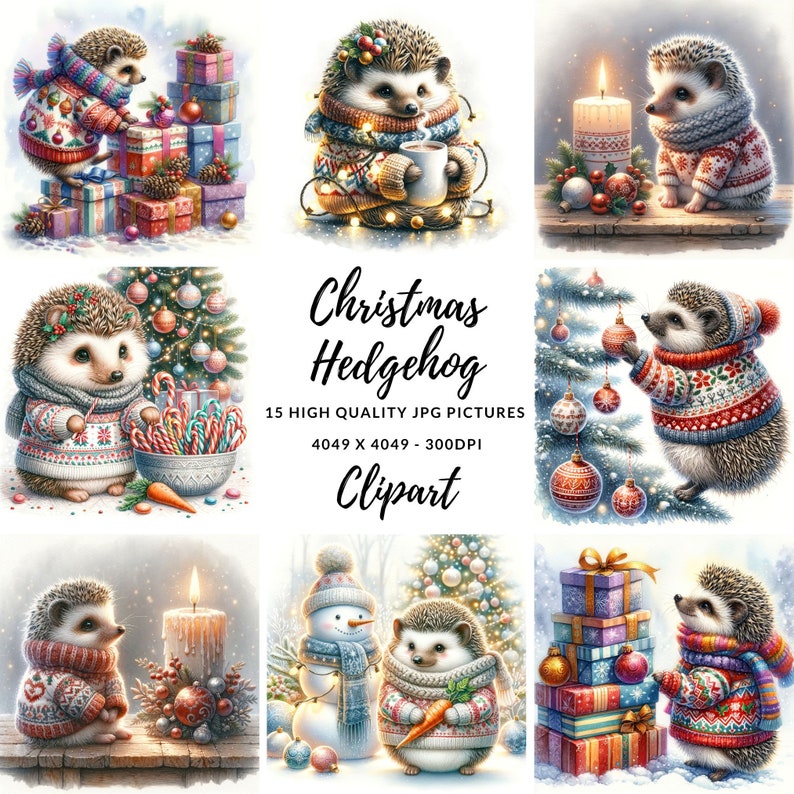 Watercolor Christmas Hedgehog Clipart - 15 High Quality Jpgs, Digital ...