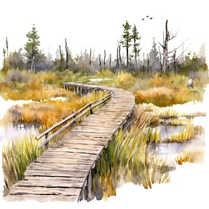 Bog Landscape Clipart - 14 High Quality Pngs, Digital Paper Crafting ...
