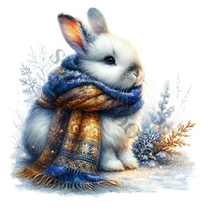 Winter Rabbit Clipart - 14 High Quality Pngs, Memory Book, Junk ...