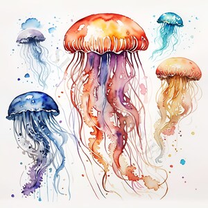 Colourful Jellyfish Clipart - 12 High Quality Jpgs, Watercolor, Digital ...