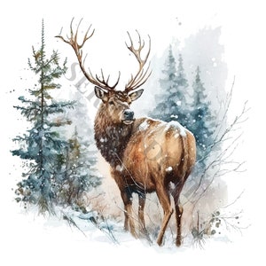 Winter Stag Clipart - 12 High Quality Pngs, Digital Paper Crafting ...