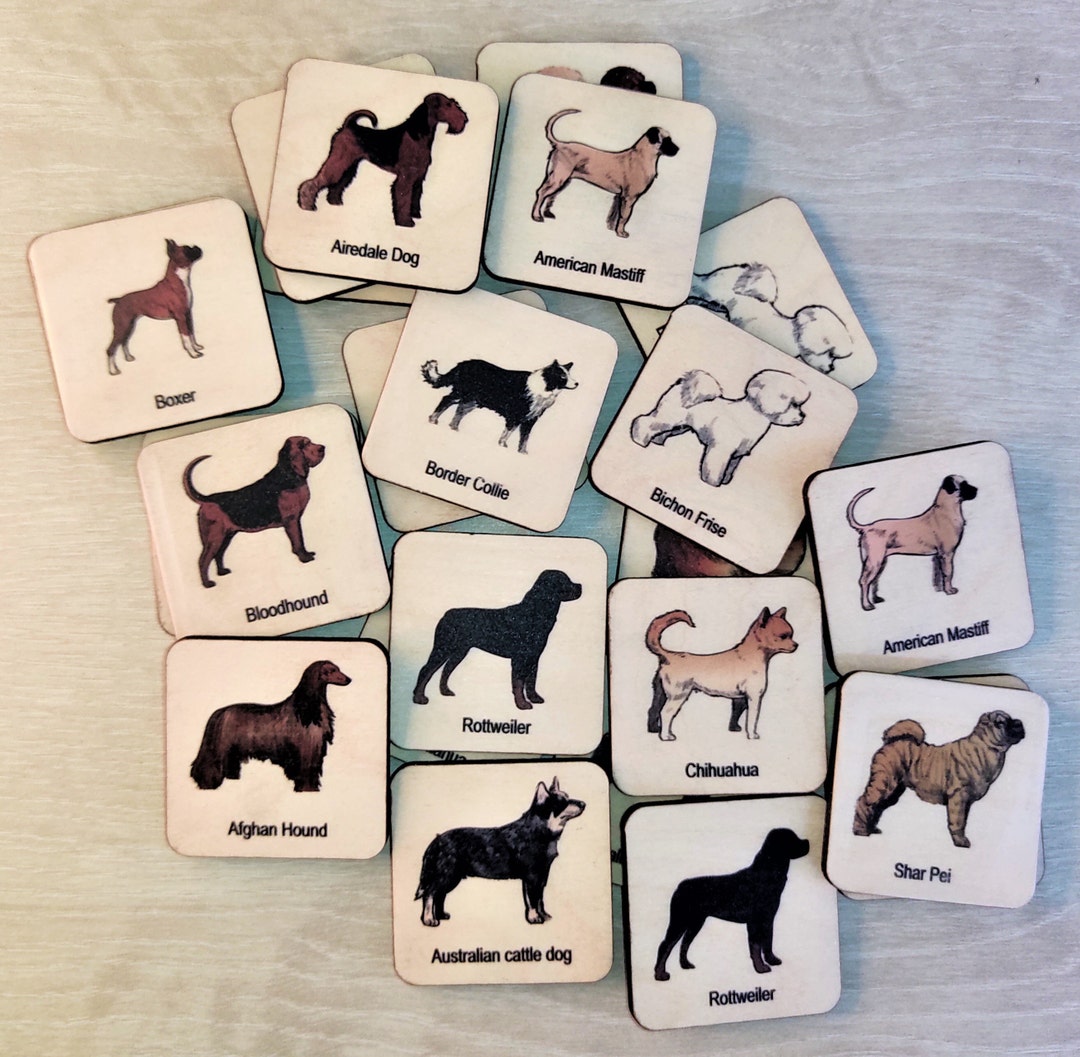 Montessori Dog Memory Game Montessori Toys for 2 Years Old - Etsy