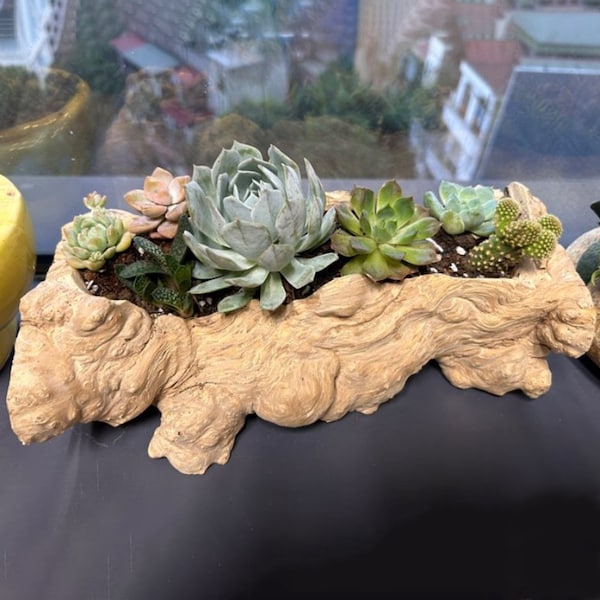 Succulent Log Planter - Etsy