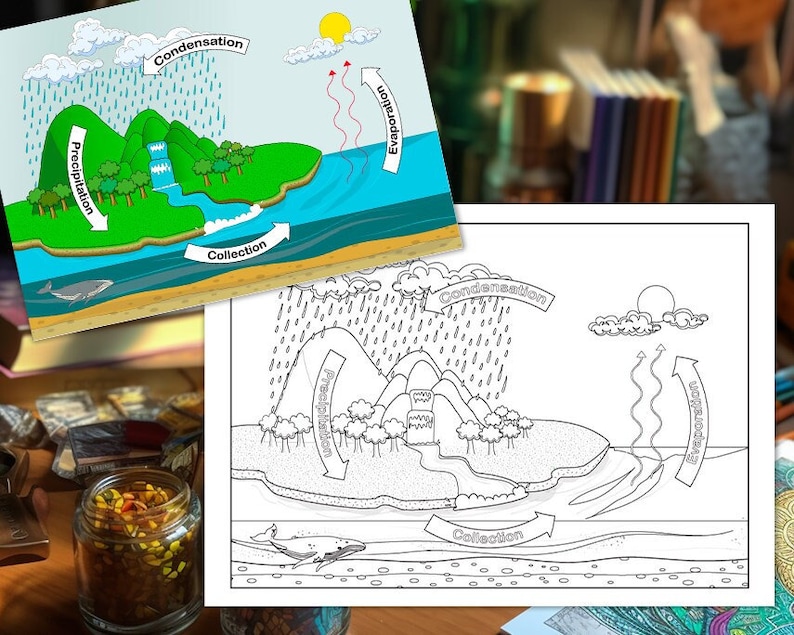 Water Cycle Coloring Page, Study for Children, Homeschooling, Kids ...