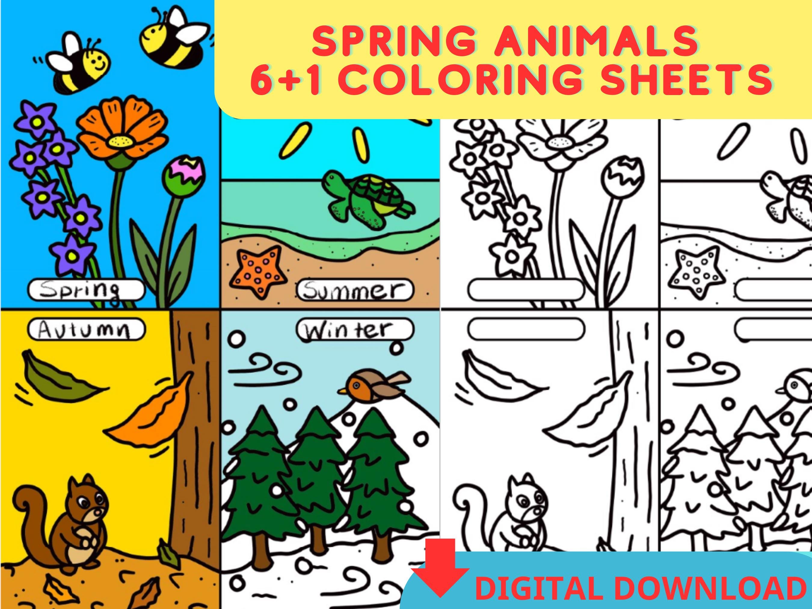 Spring Animals Coloring Sheets for Kids | Printable Downloadable ...