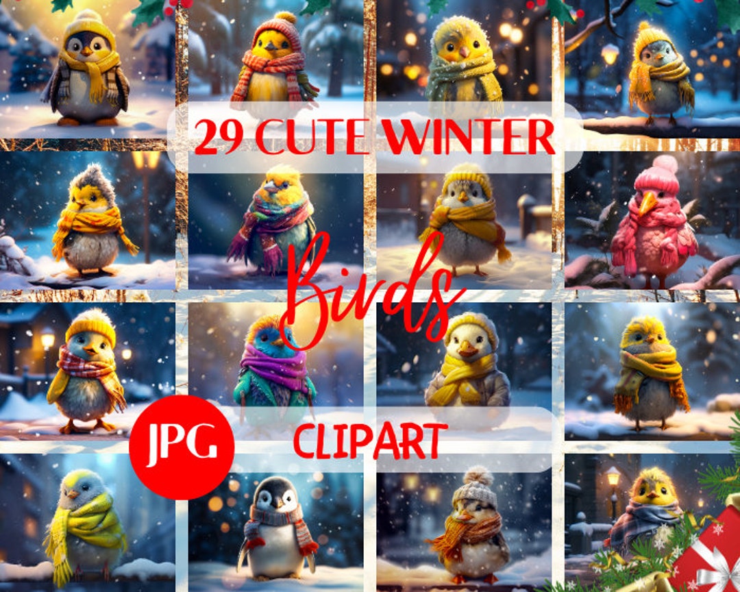 Cute Winter Bird Clipart, Christmas Animals, Digital Christmas Graphics ...