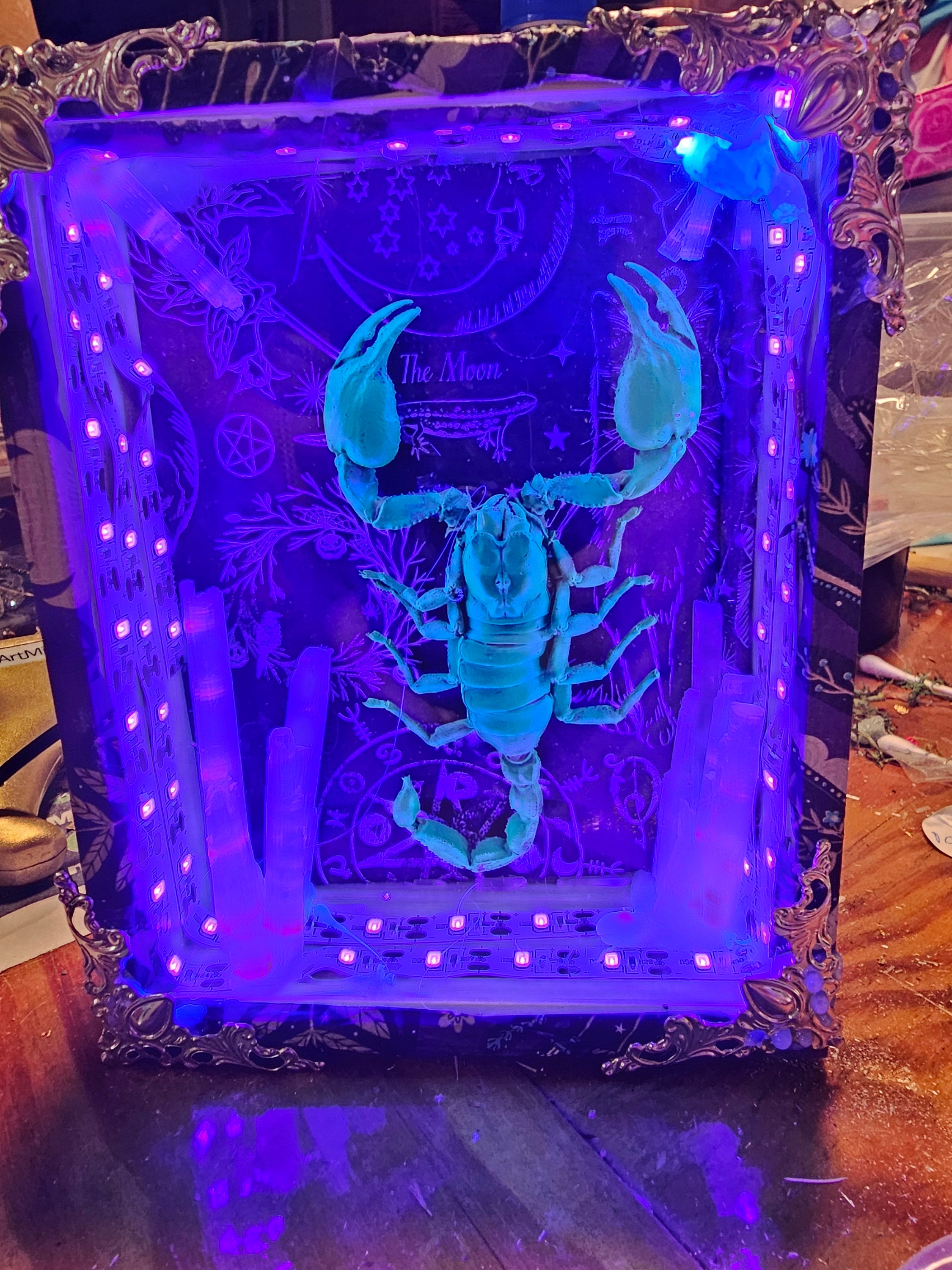 Scorpion Shadow Box With Selenite Crystals and Black Light - Etsy