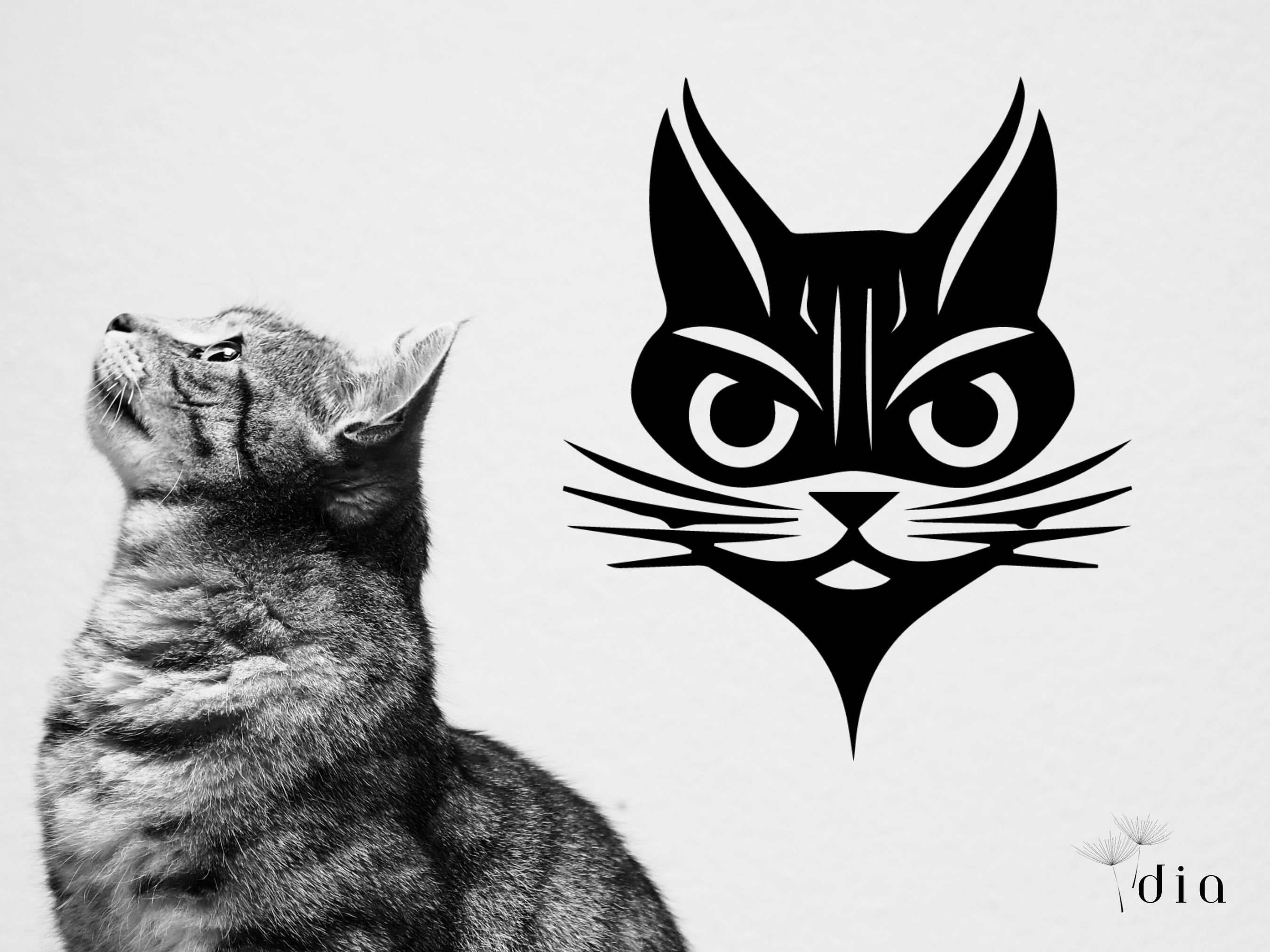 Angry Cat SVG Bundle: Cricut & Silhouette Files (digital Download) - Etsy