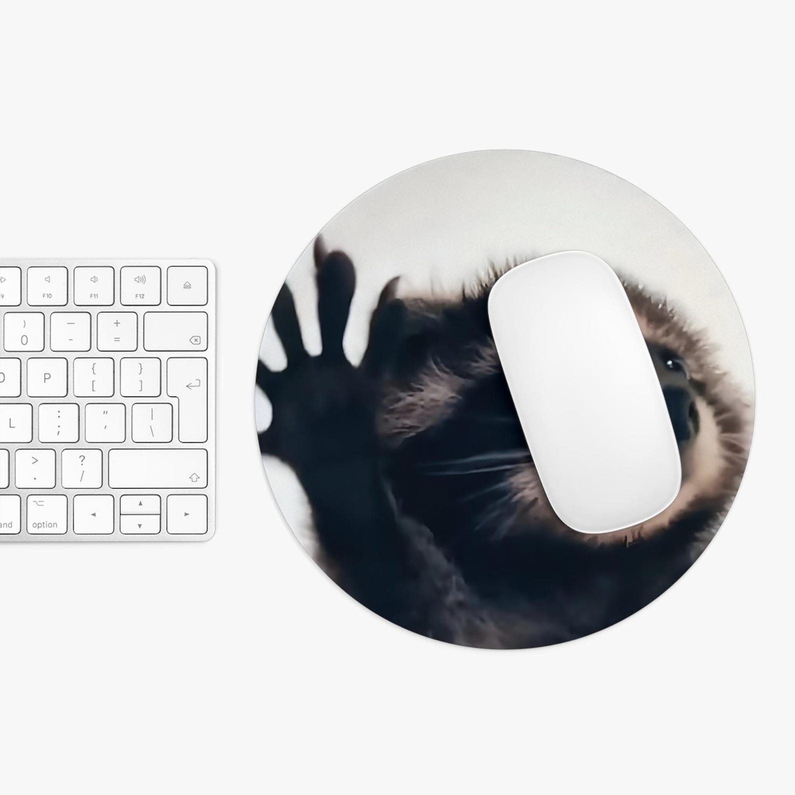 Pedro Pedro Dancing Raccoon Mousepad,funny Raccoon Meme,pedro Racoon ...