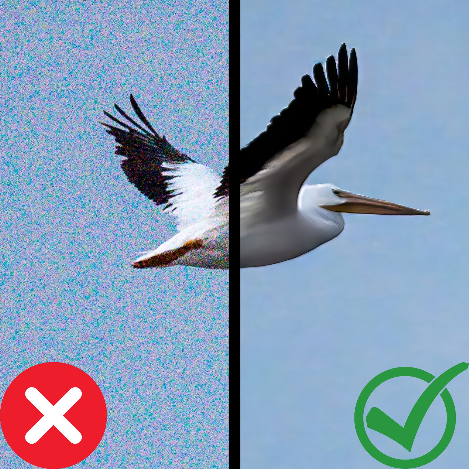 Image Upscaler, Foto Upscaler, Image Enhance, Image Noise Remover, Foto ...