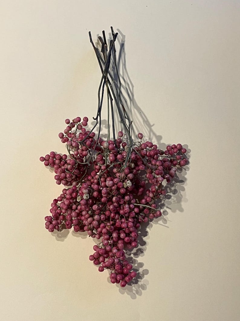 Dried Pepperberry Bunch - Etsy UK