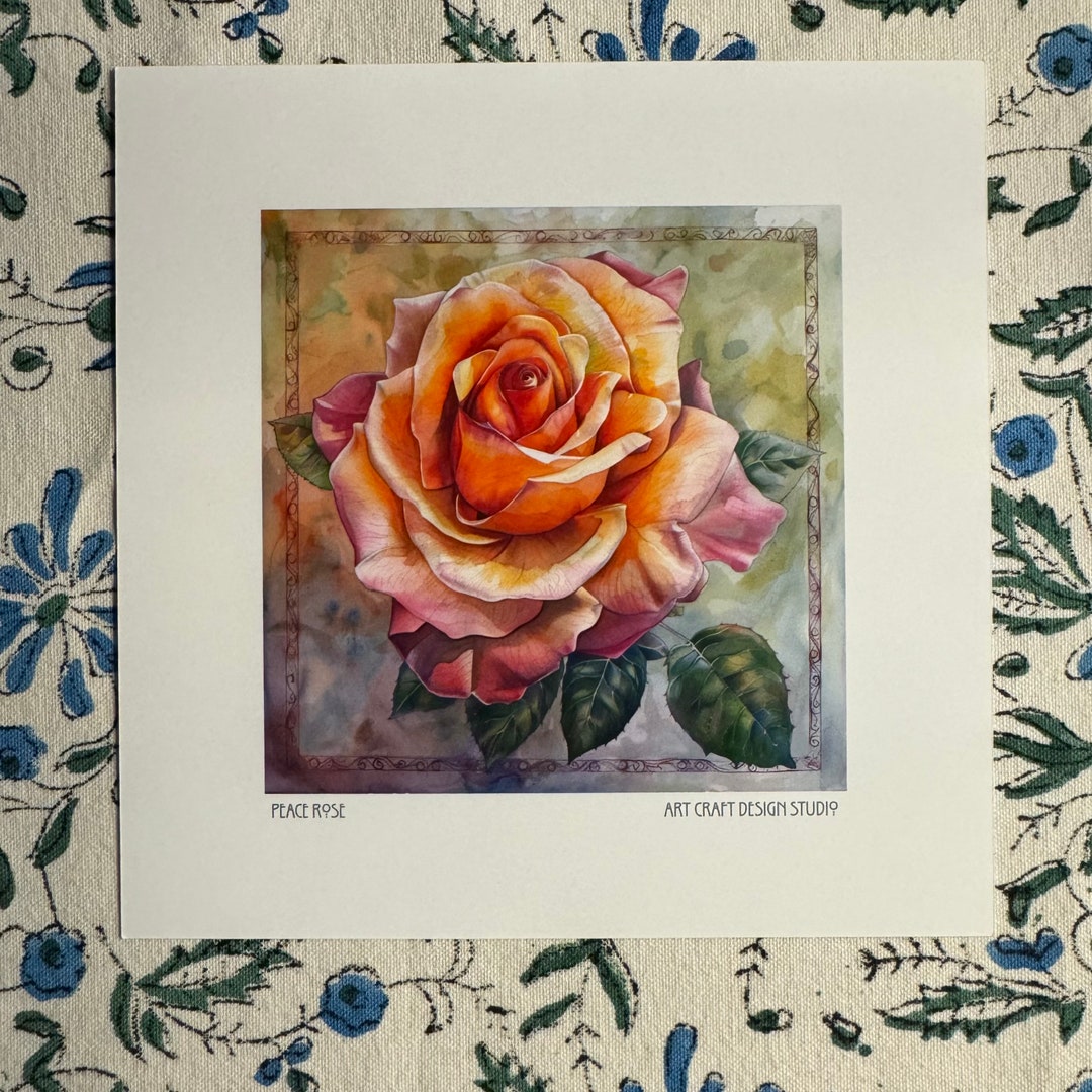 Watercolor Peace Rose Print 6x6 of Original Watercolor Artwork ...