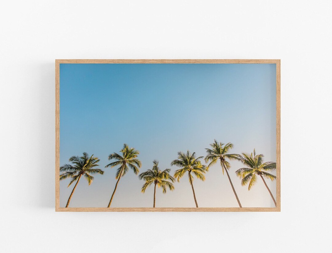 Palm Tree Print, Tropical Print, Palm Tree Photo, Tropical Wall Art ...